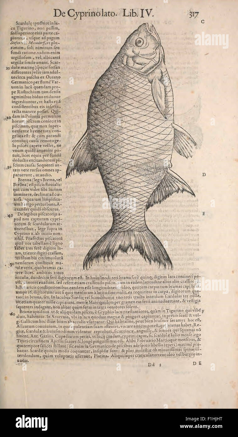 'Historiae Animalium Liber IV' by Conrad Gesner offers an early ...