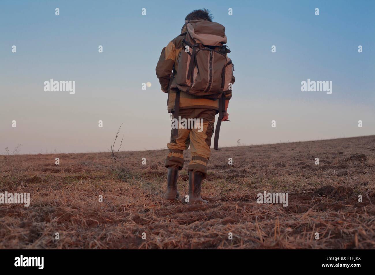 Mid adult man walking through field, rear view, low angle view Stock ...