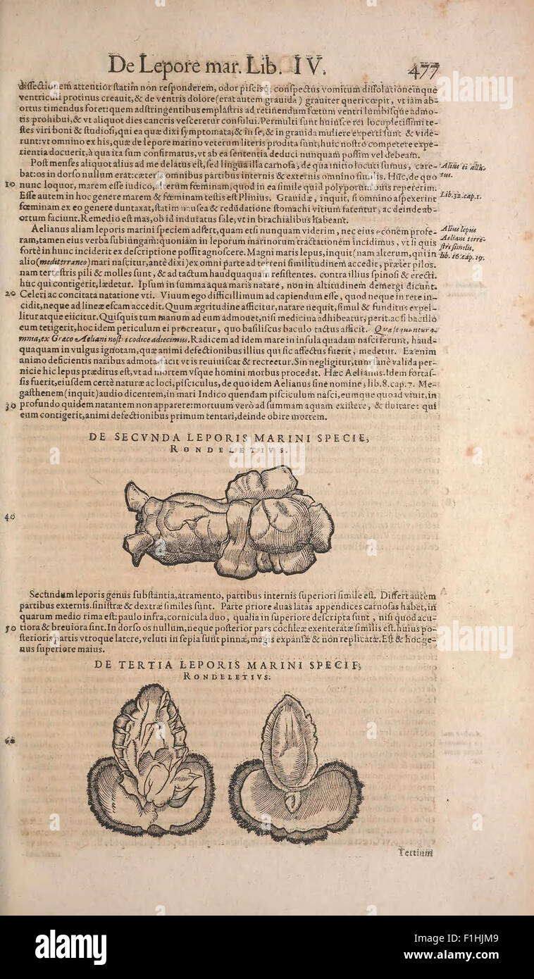 This work by Conrad Gesner, dating from the 16th century, details ...