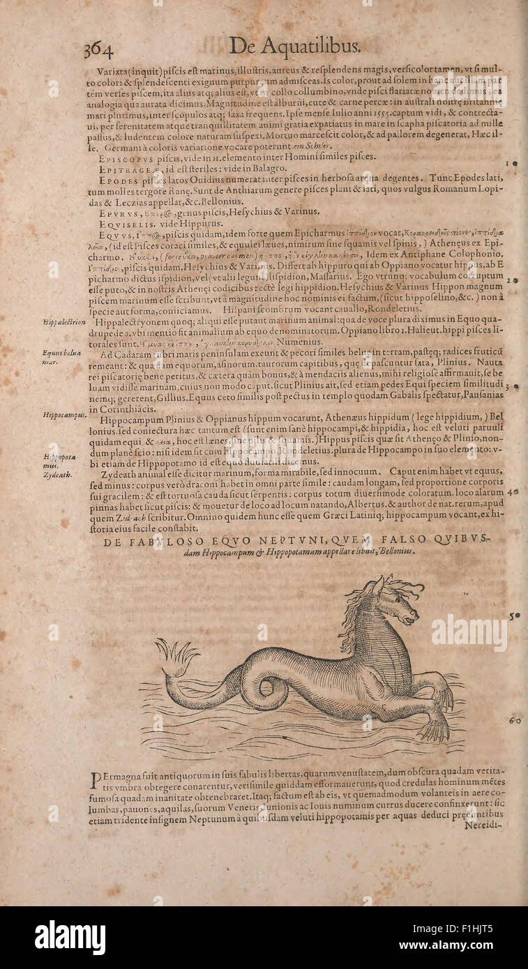 An early zoological work by Conrad Gesner, focused on the history of ...