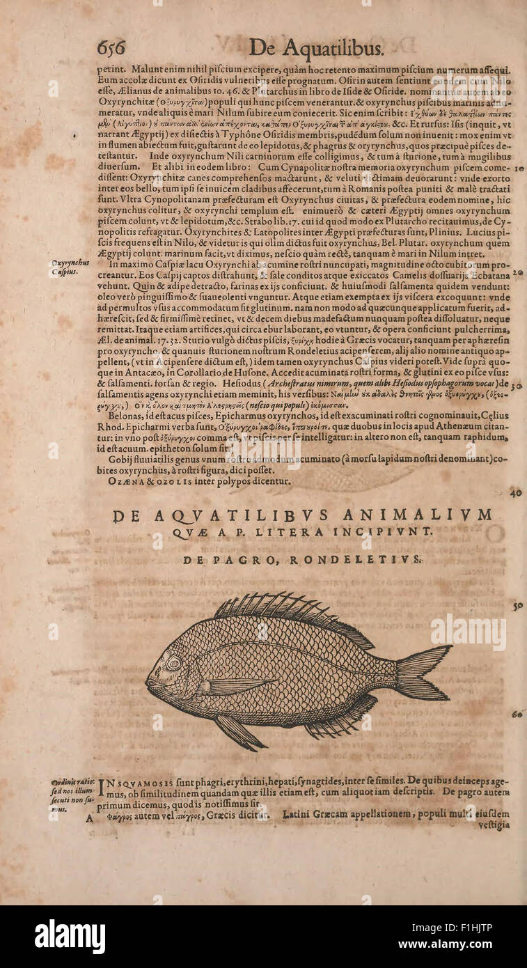 *Conradi Gesneri Medici Tigurini Historiae Animalium Liber IV* is a ...