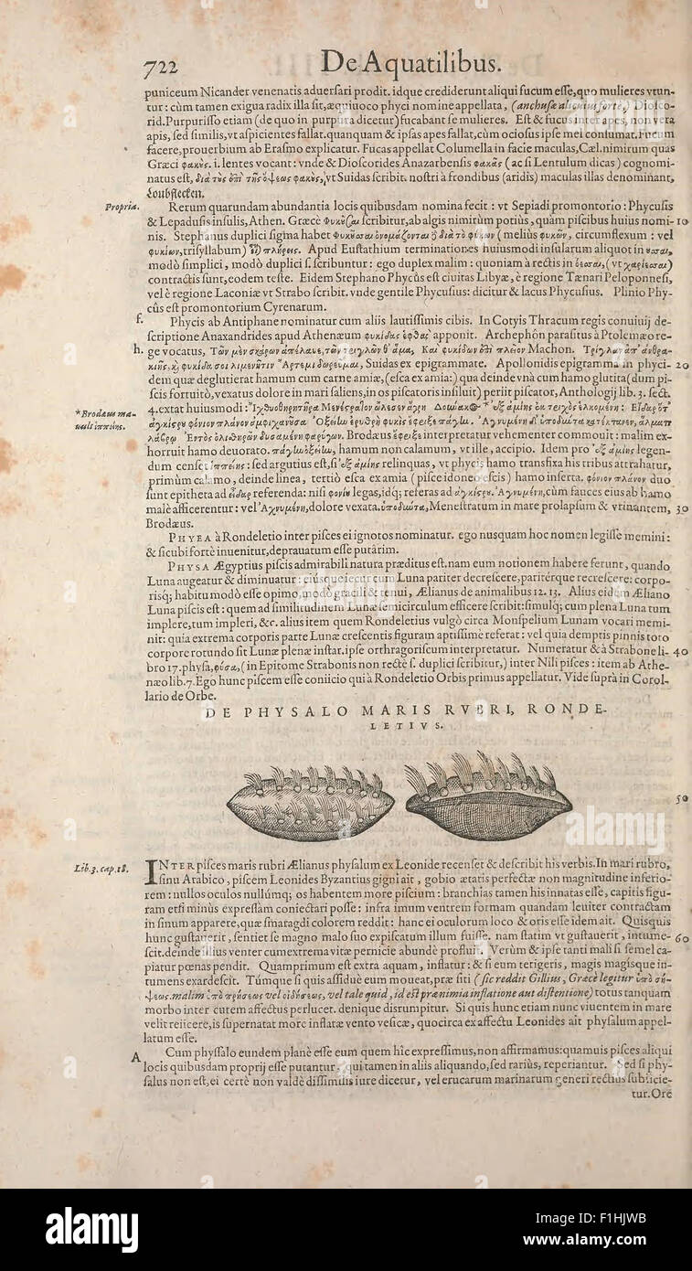 This 16th-century work by Conrad Gesner is part of his *Historiae ...
