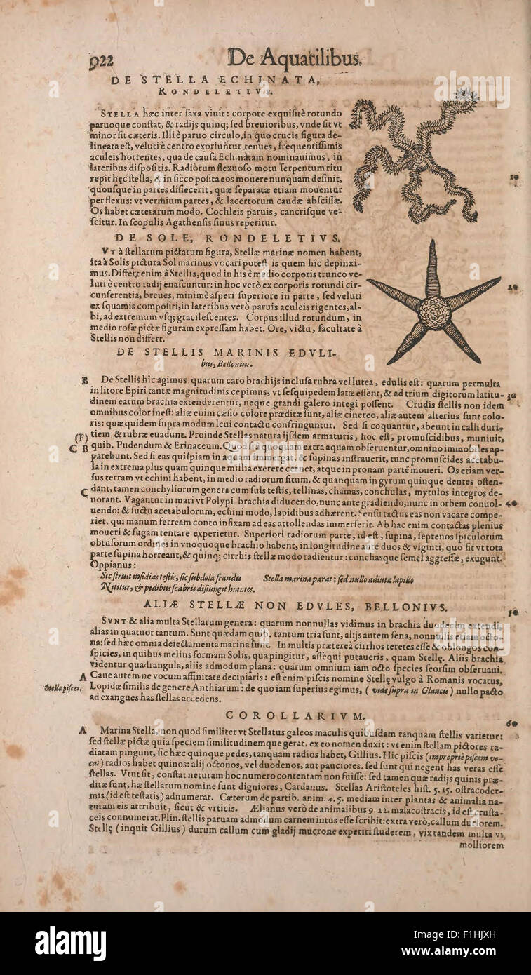 *Conradi Gesneri medici Tigurini Historiae animalium liber IV* is part ...