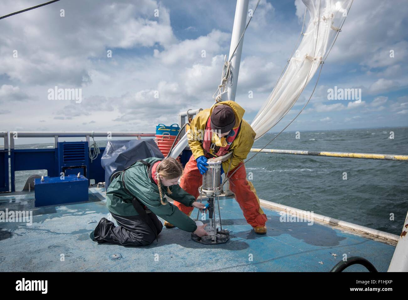Marine Plankton High Resolution Stock Photography and Images - Alamy