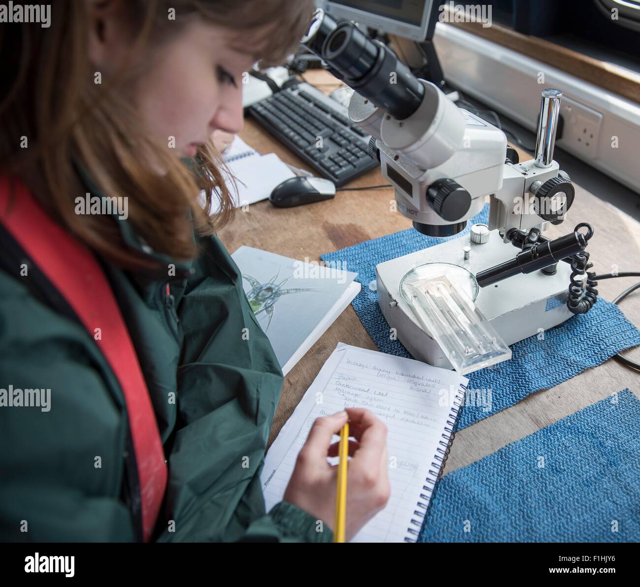 Microscope observation hi-res stock photography and images - Alamy