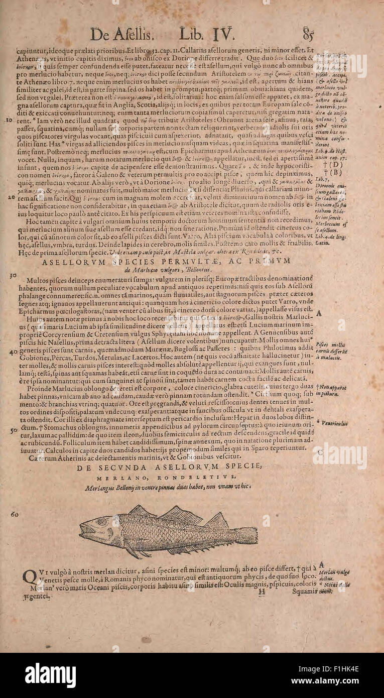 Conradi Gesneri medici Tigurini Historiae animalium liber IV (History ...