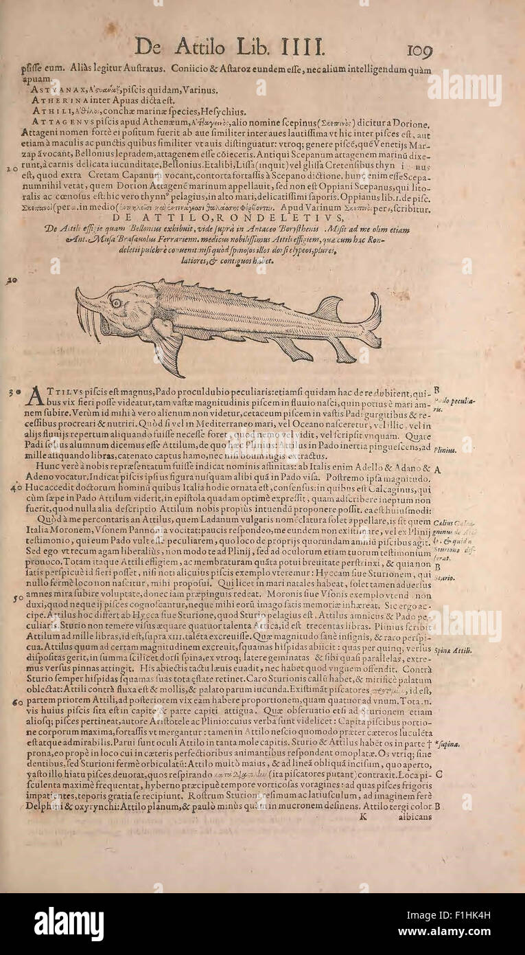 'Conradi Gesneri medici Tigurini Historiae animalium liber IV' is a ...