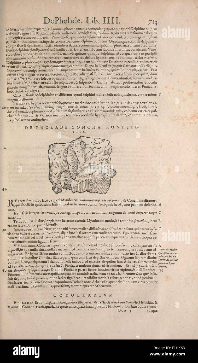 Conradi Gesneri's 'Historiae Animalium Liber IV' is a pre-Linnean ...