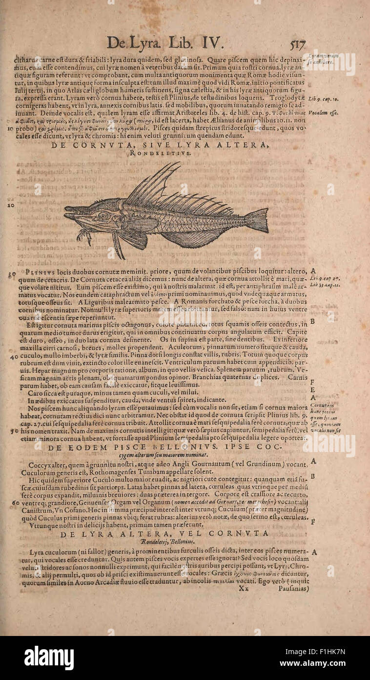 'Conradi Gesneri Medici Tigurini Historiae Animalium Liber IV' (early ...