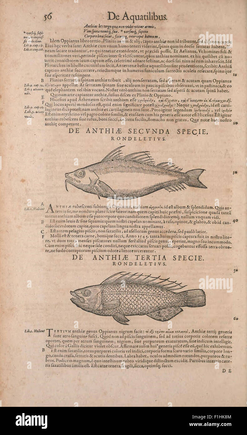 Conrad Gesner’s 'Historiae Animalium' is a foundational zoological work ...