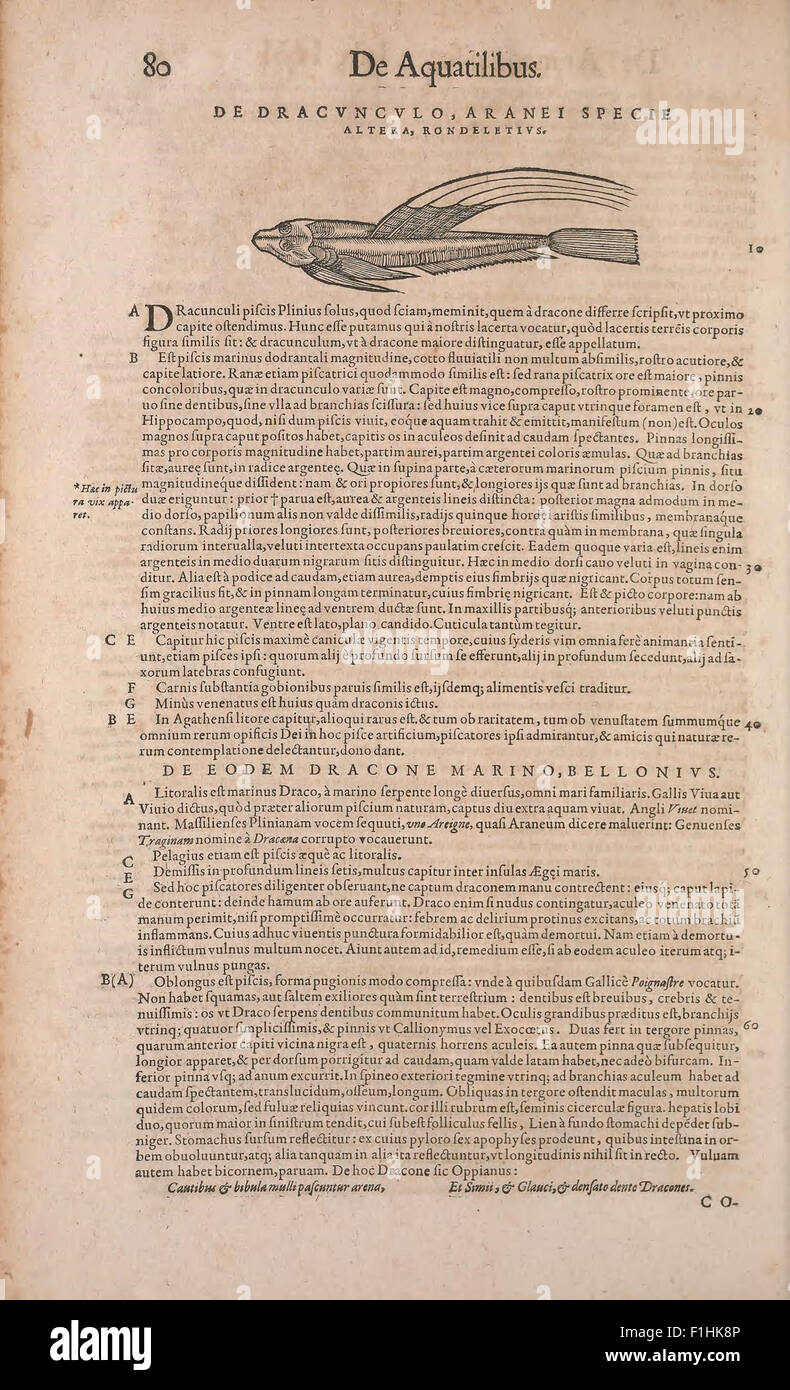 'Historiae Animalium Liber IV' is a work by Conrad Gesner detailing the ...