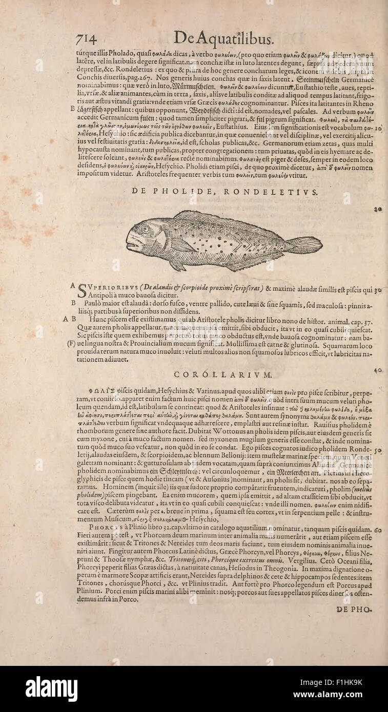 *Conradi Gesneri Medici Tigurini Historiae Animalium Liber IV* is a ...
