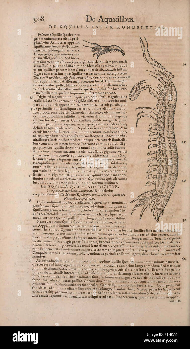 *Historiae Animalium* (History of Animals) by Conrad Gesner is a ...