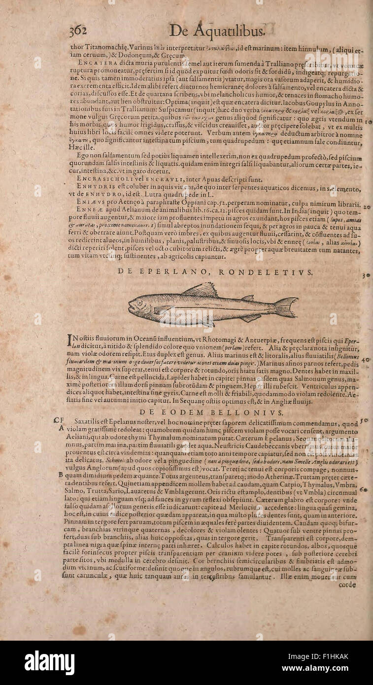 'Conradi Gesneri Medici Tigurini Historiae Animalium Liber IV' is an ...
