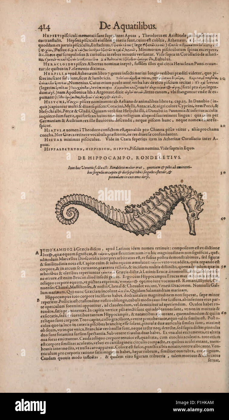 An early work by Conrad Gesner, detailing the study of animals, with a ...