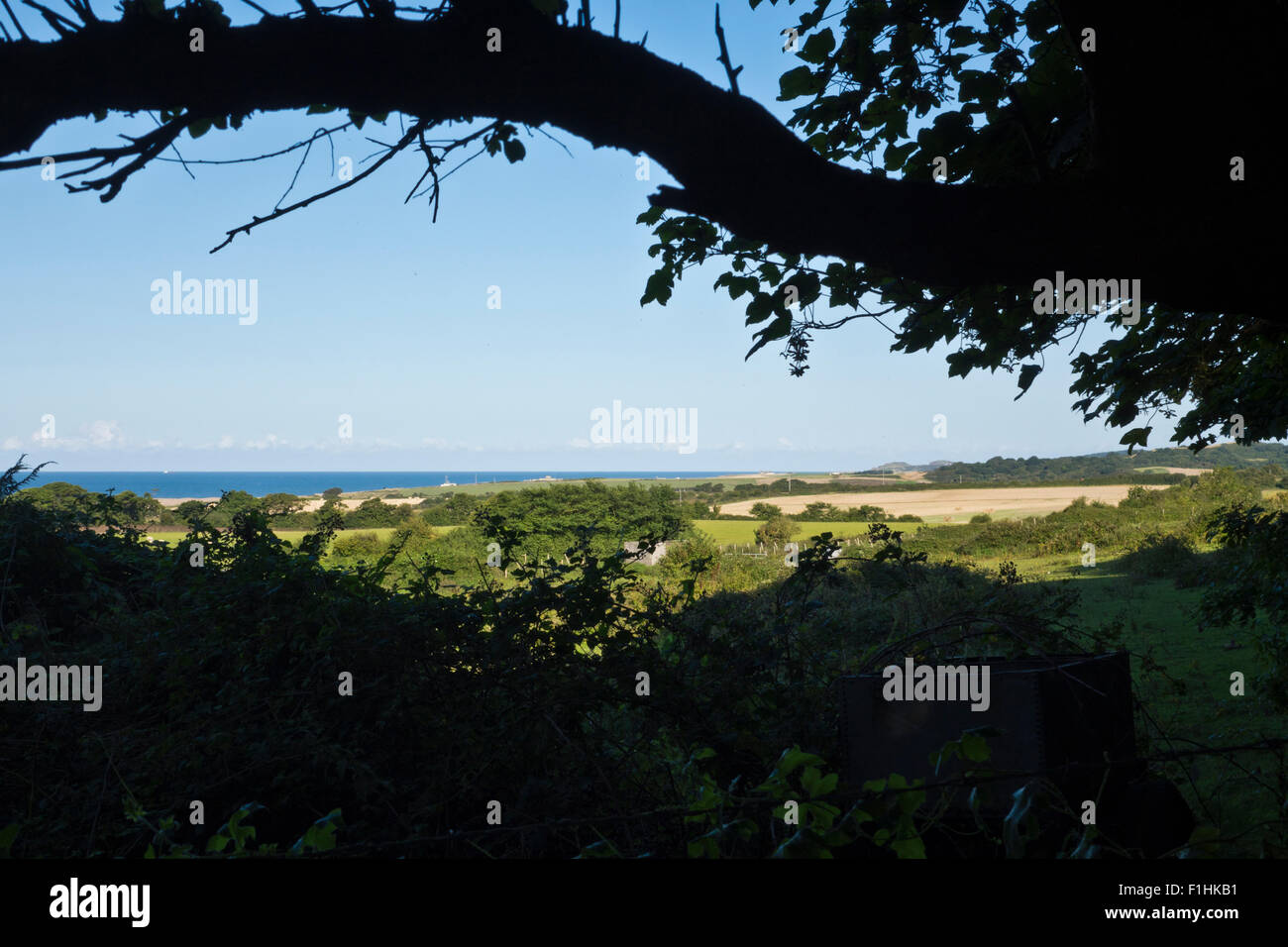 Norfolk countryside fields hi-res stock photography and images - Alamy