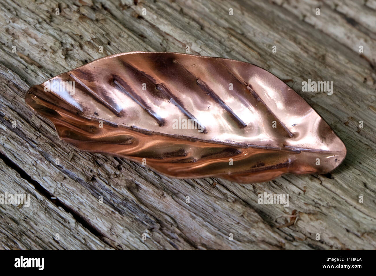 Copper leaf hi-res stock photography and images - Alamy