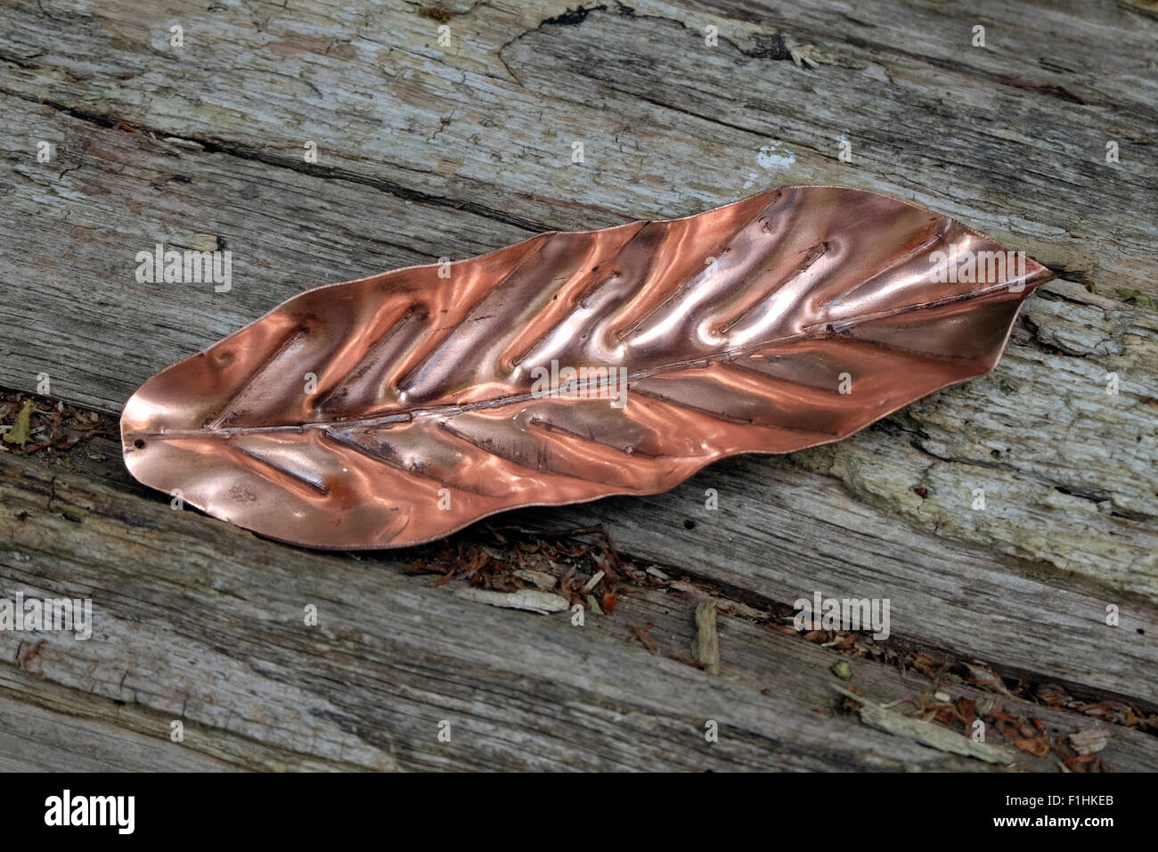 Copper Leaf Decoration on aged tree Stock Photo - Alamy