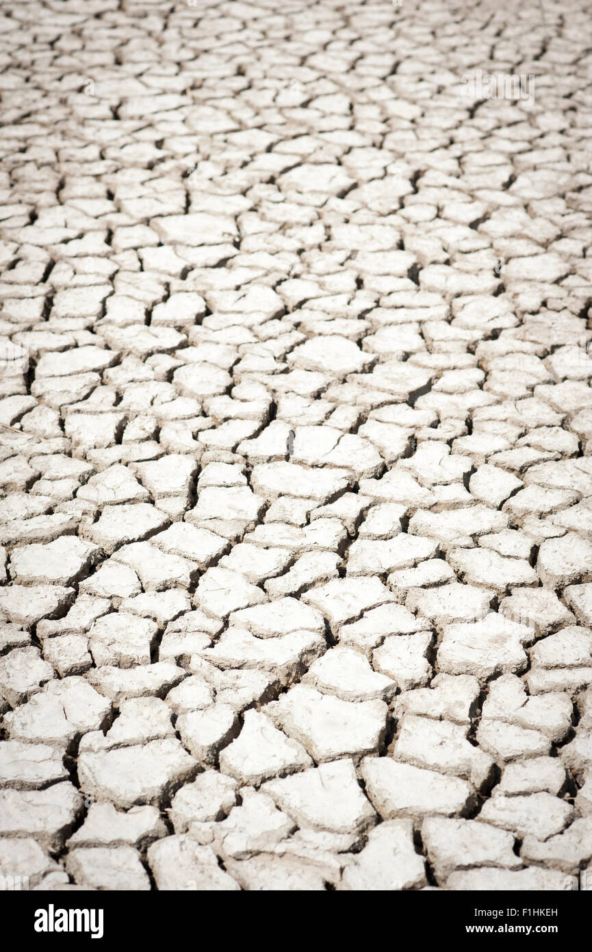 Rough and scaly hi-res stock photography and images - Alamy