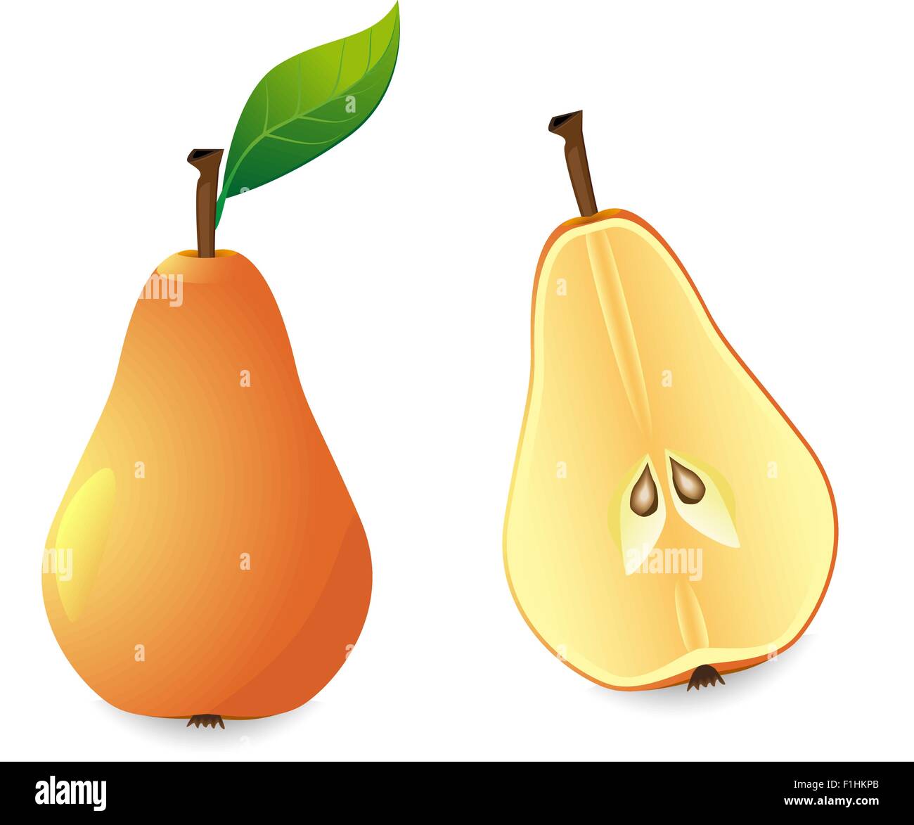 yellow pea and slice vector illustration Stock Vector Image & Art - Alamy