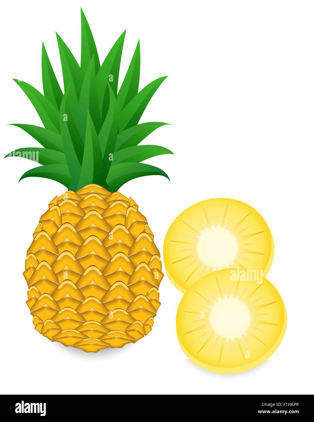 pineapple and slice vector illustration Stock Vector Image & Art - Alamy