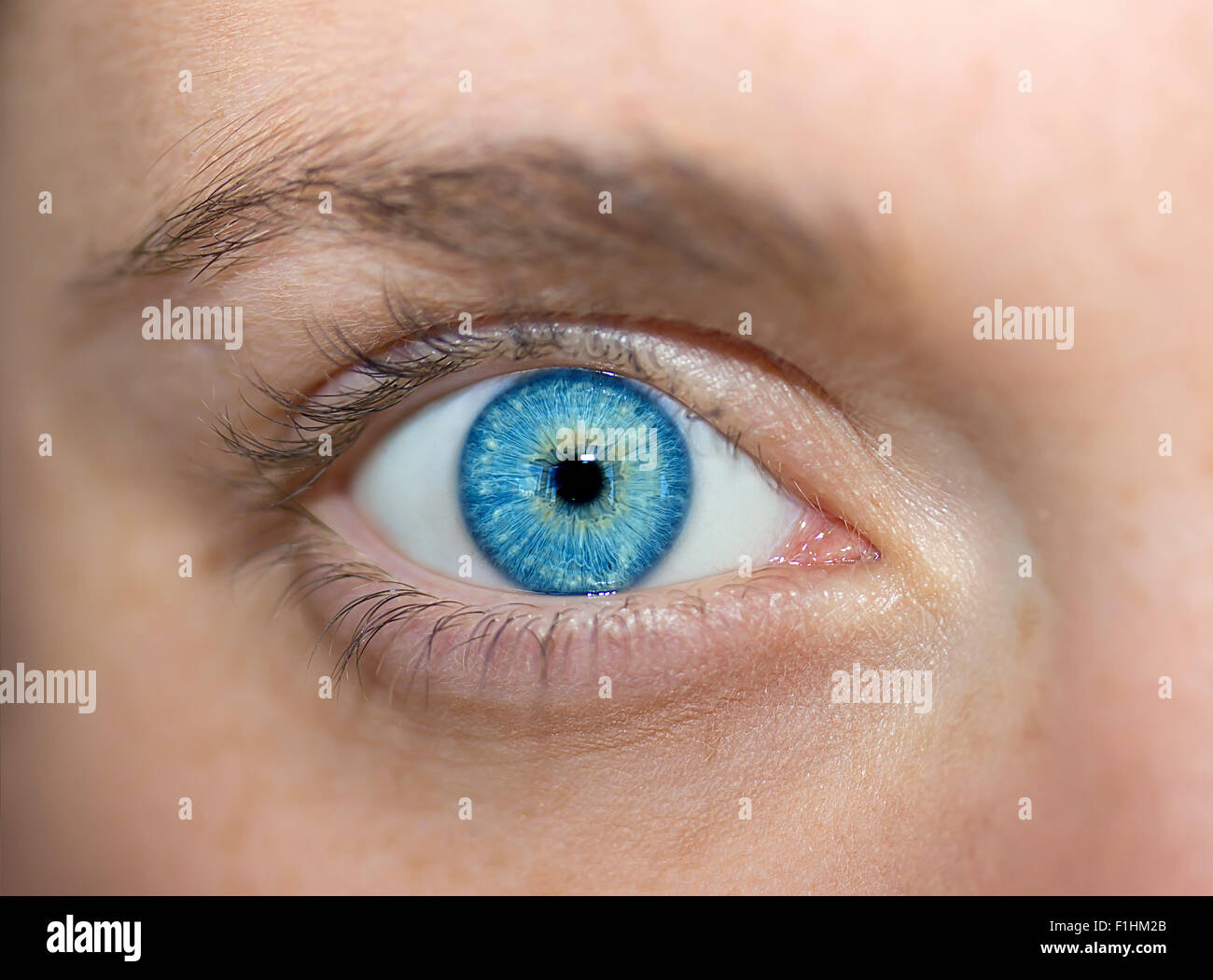 insightful look eyes Stock Photo - Alamy
