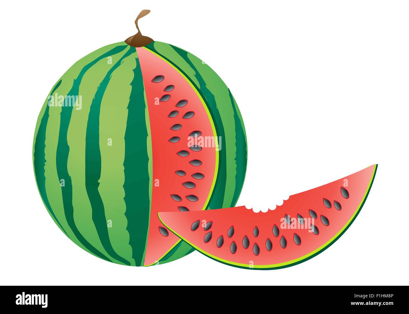 ripe big and slice bite watermelon vector illustration isolated on ...