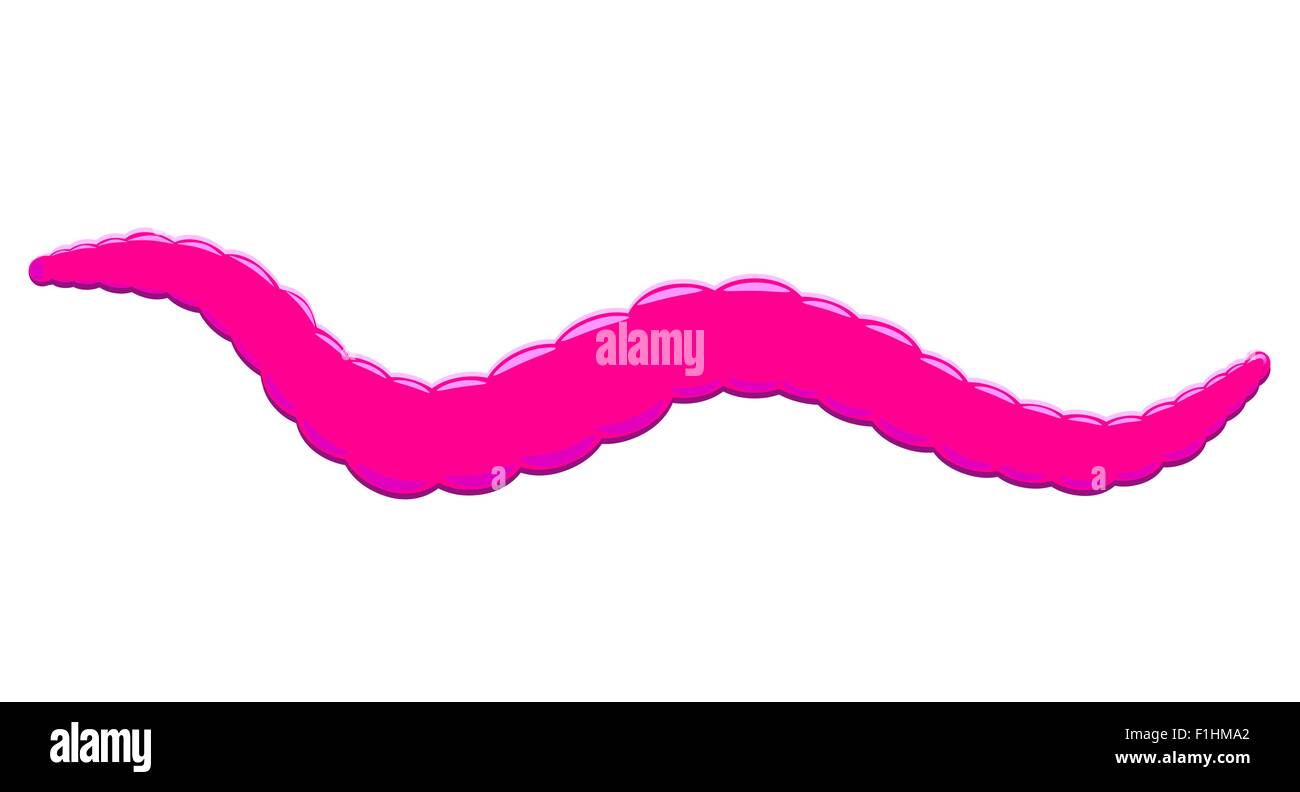pink worm on white background vector illustration Stock Vector Image ...