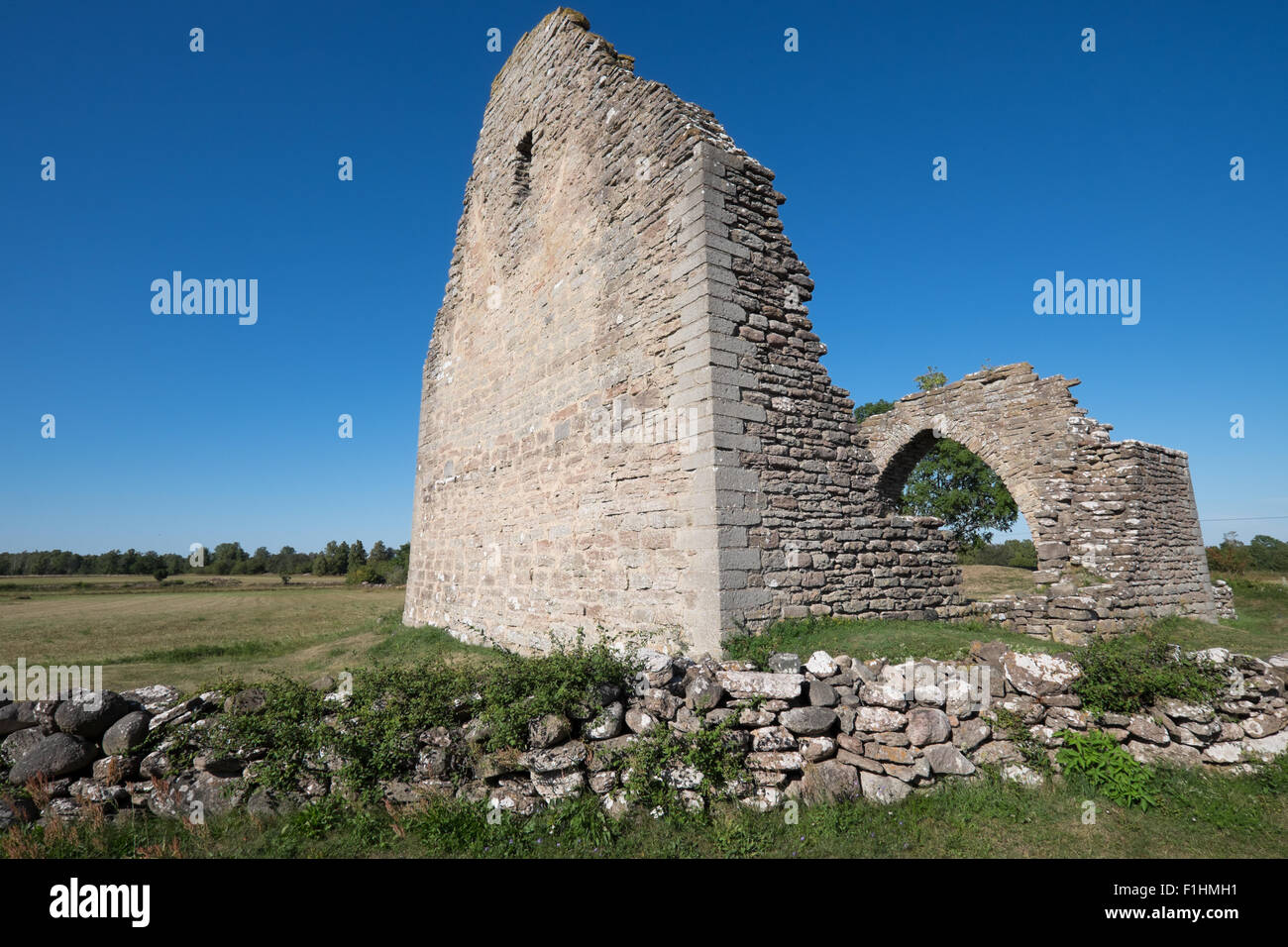 Knuts hi-res stock photography and images - Alamy