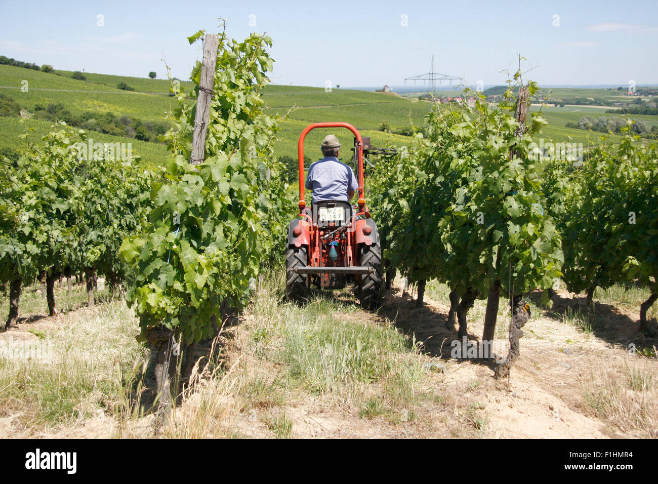Weinberg traktor hi-res stock photography and images - Alamy