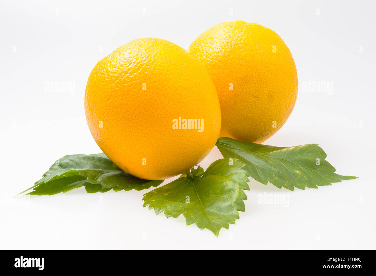 Two oranges isolated on a white background Stock Photo - Alamy