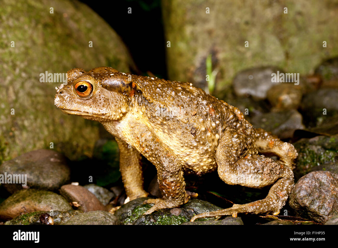 Netherlands and taiwan hi-res stock photography and images - Alamy