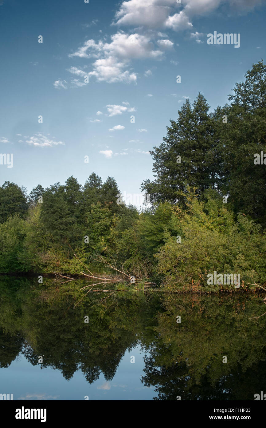 Riverside trees hi-res stock photography and images - Alamy