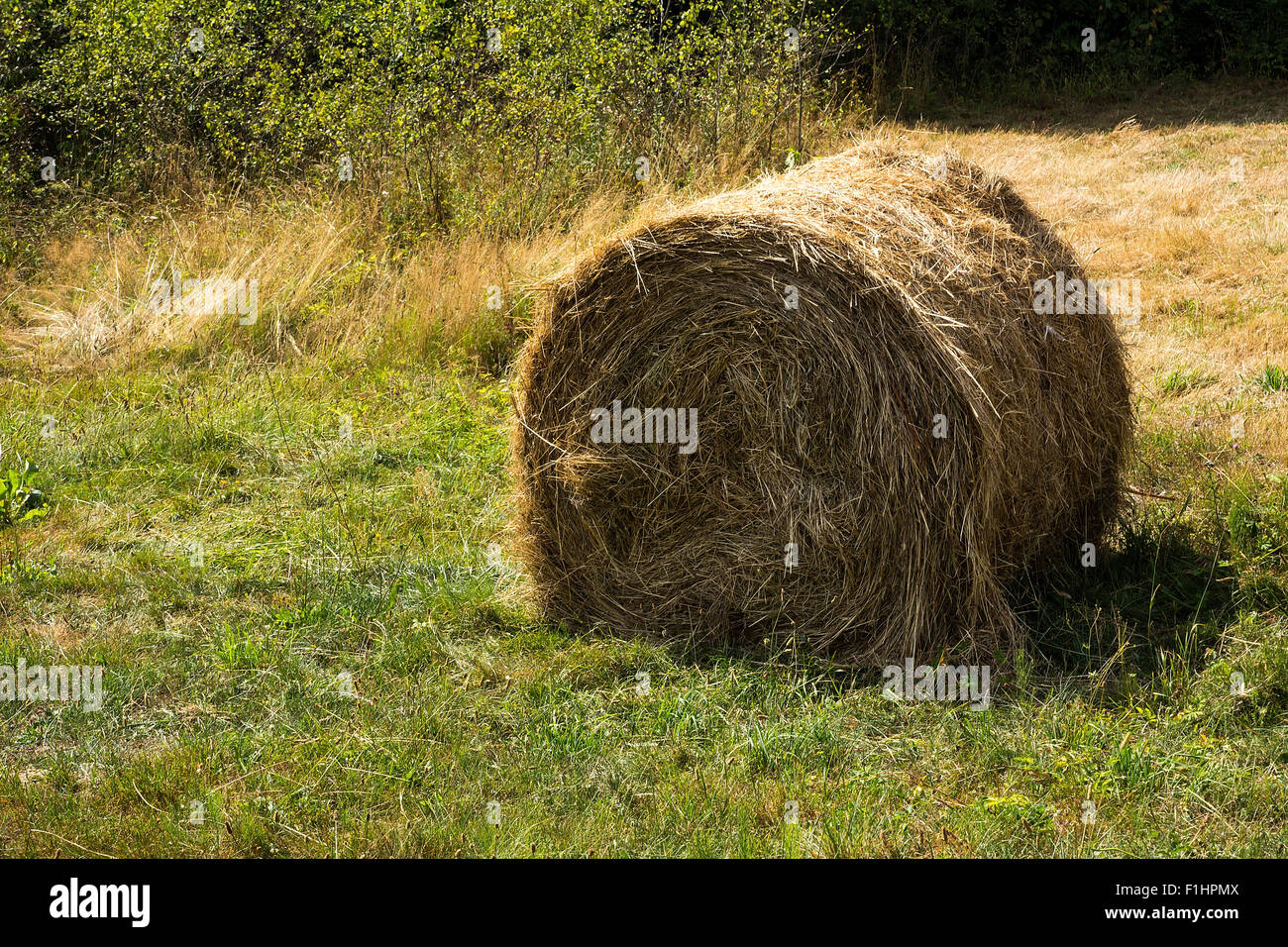 Bale of hay Stock Photo - Alamy