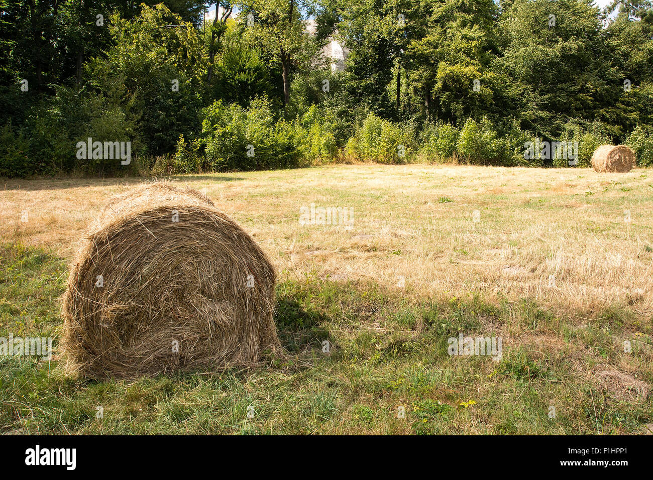 Bale of hay Stock Photo - Alamy