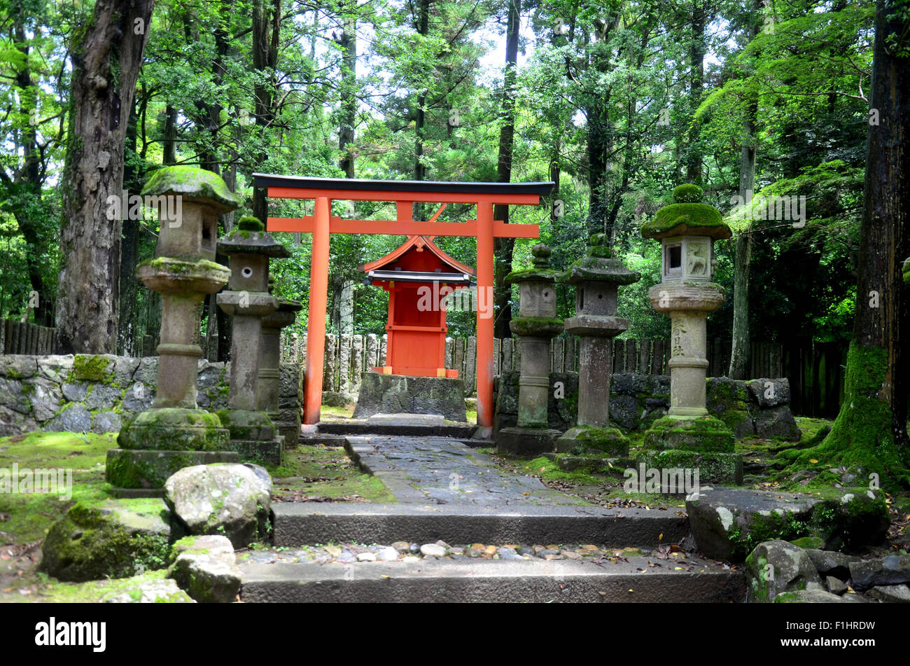 Kasuga shrine pathway hi-res stock photography and images - Alamy