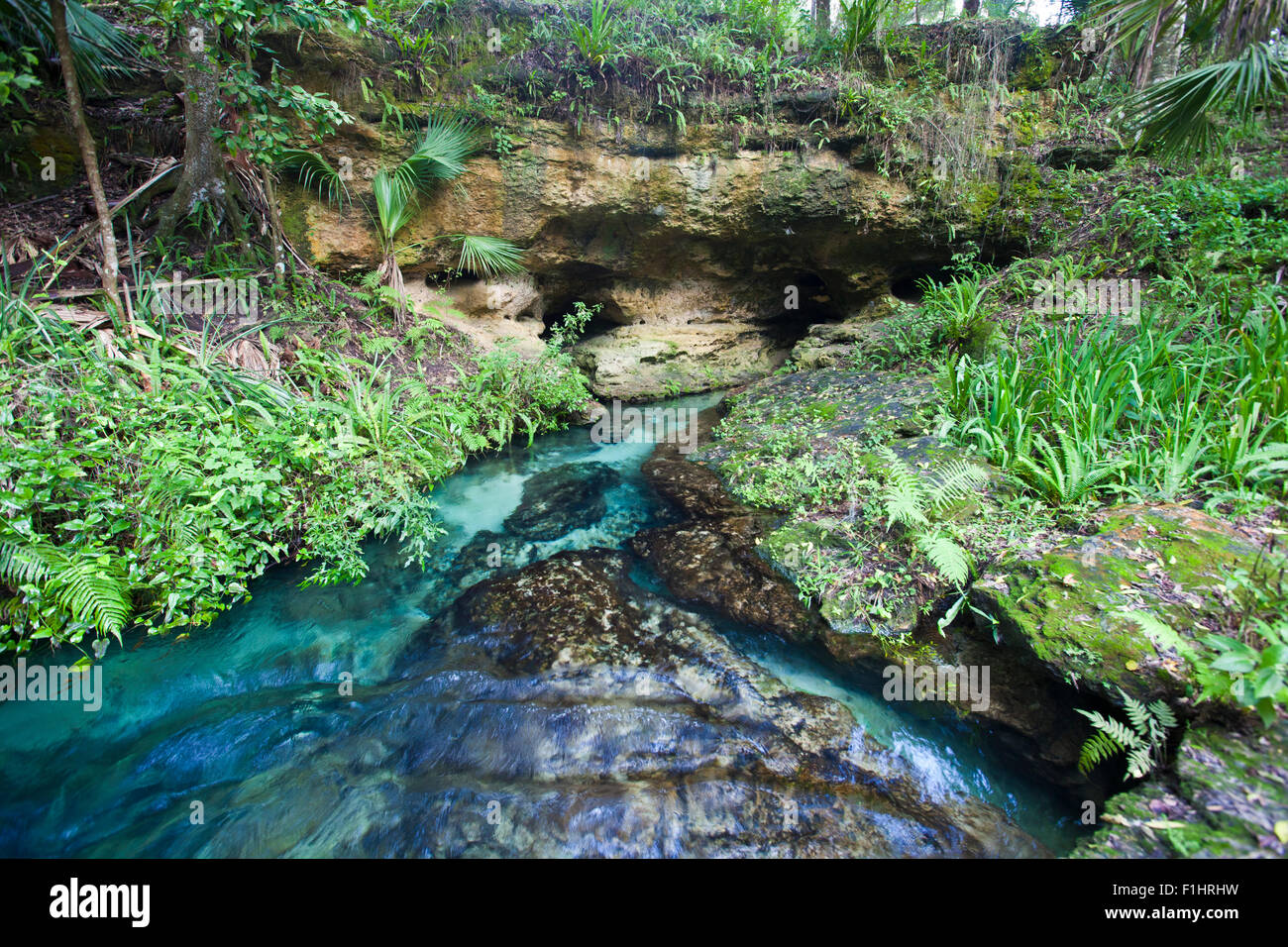 Aerial View of Rock Springs flowing out of the spring head Stock Photo ...