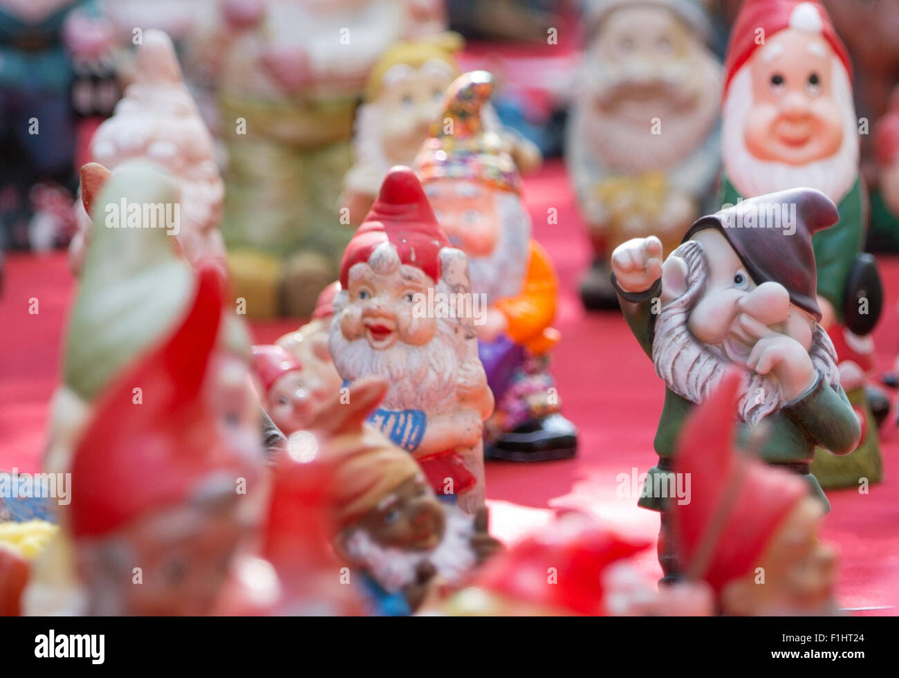 Garden gnomes are on display, in Osnabrueck, Germany, 2 September 2015 ...