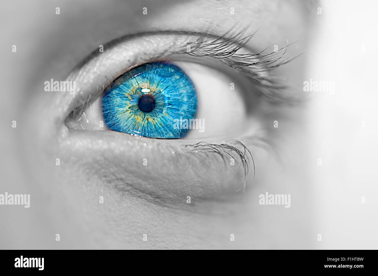 Insightful hi-res stock photography and images - Alamy