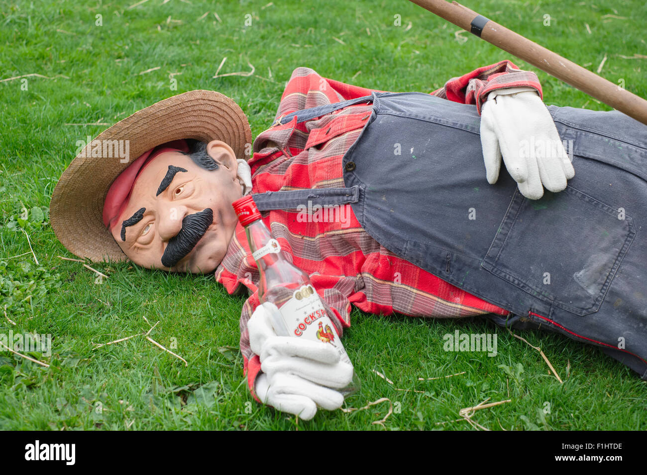 A Drunk and Fallen Scarecrow on Display at Hickling Village Show Stock ...
