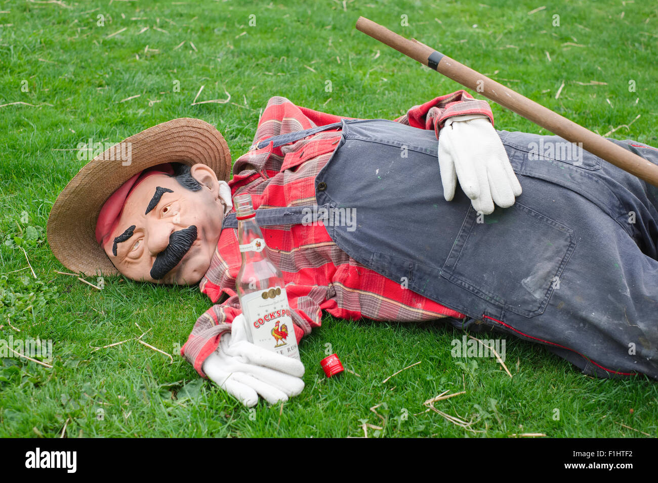 A Drunk and Fallen Scarecrow on Display at Hickling Village Show Stock ...