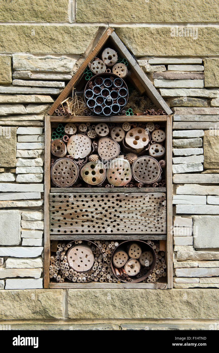 Wildlife garden hi-res stock photography and images - Alamy