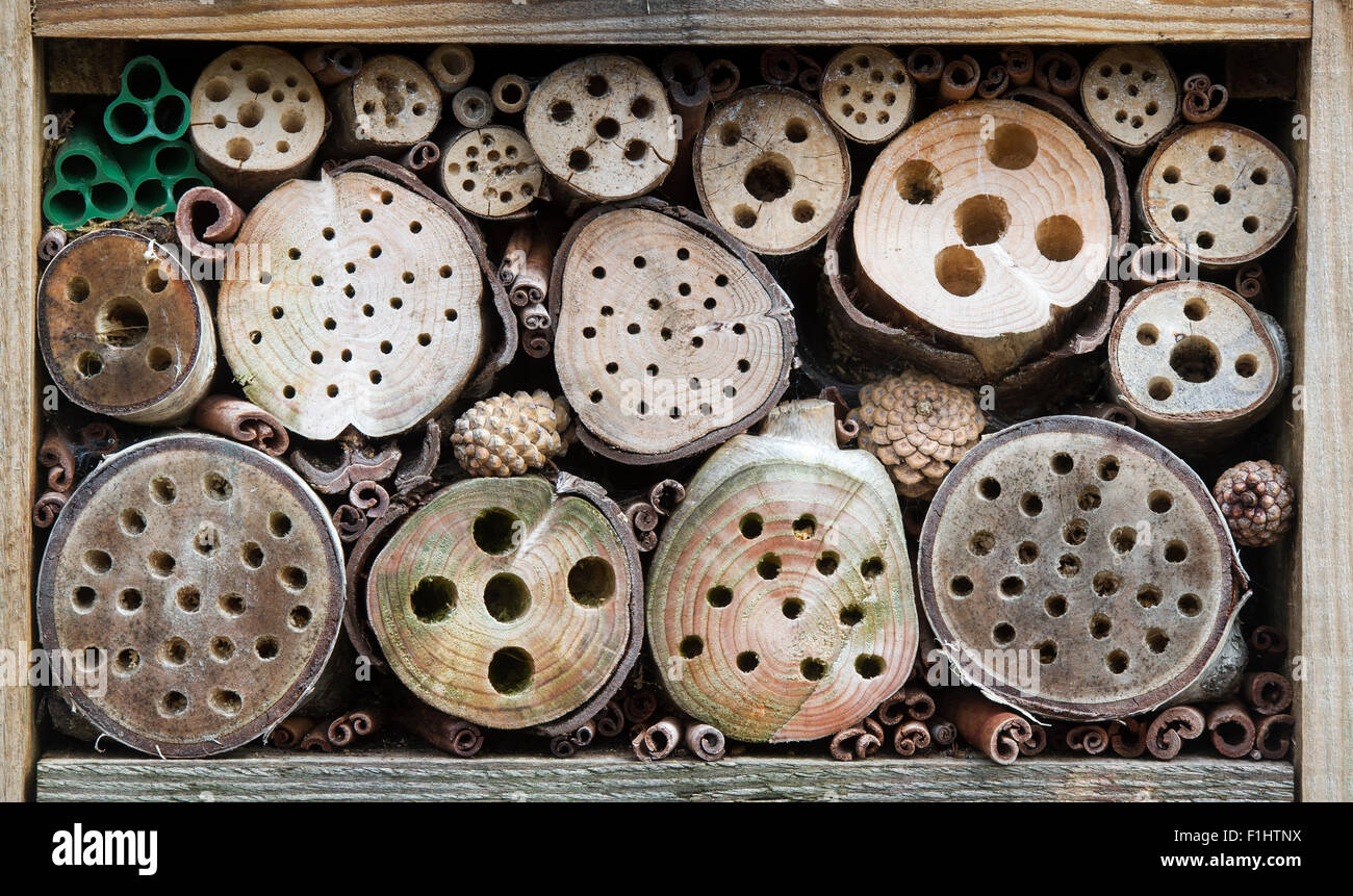 Wildlife garden hi-res stock photography and images - Alamy