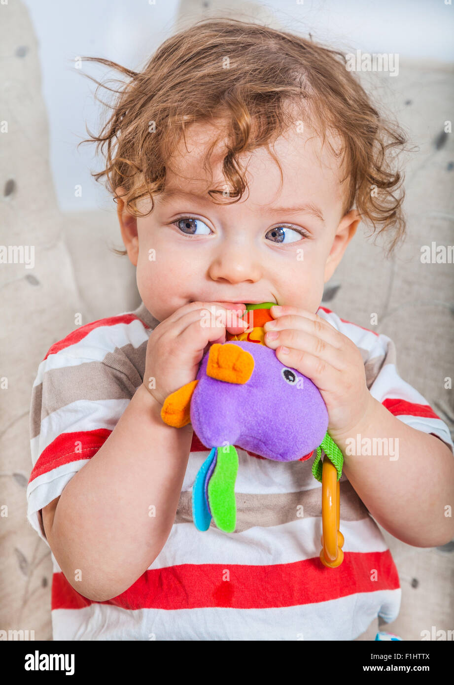 Infant toddler chewing hi-res stock photography and images - Alamy