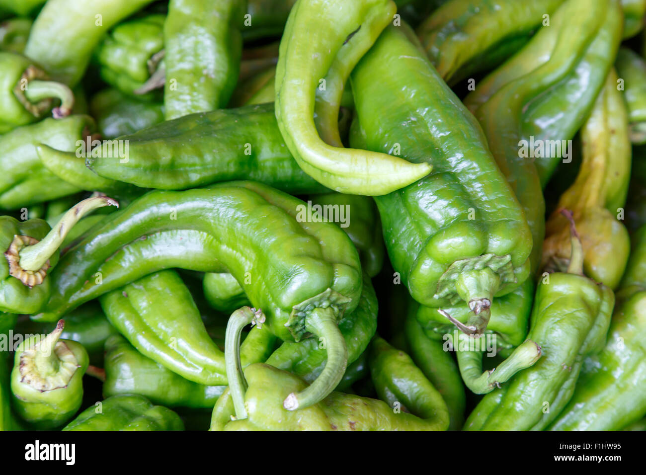 Group of green peppers Stock Photo - Alamy