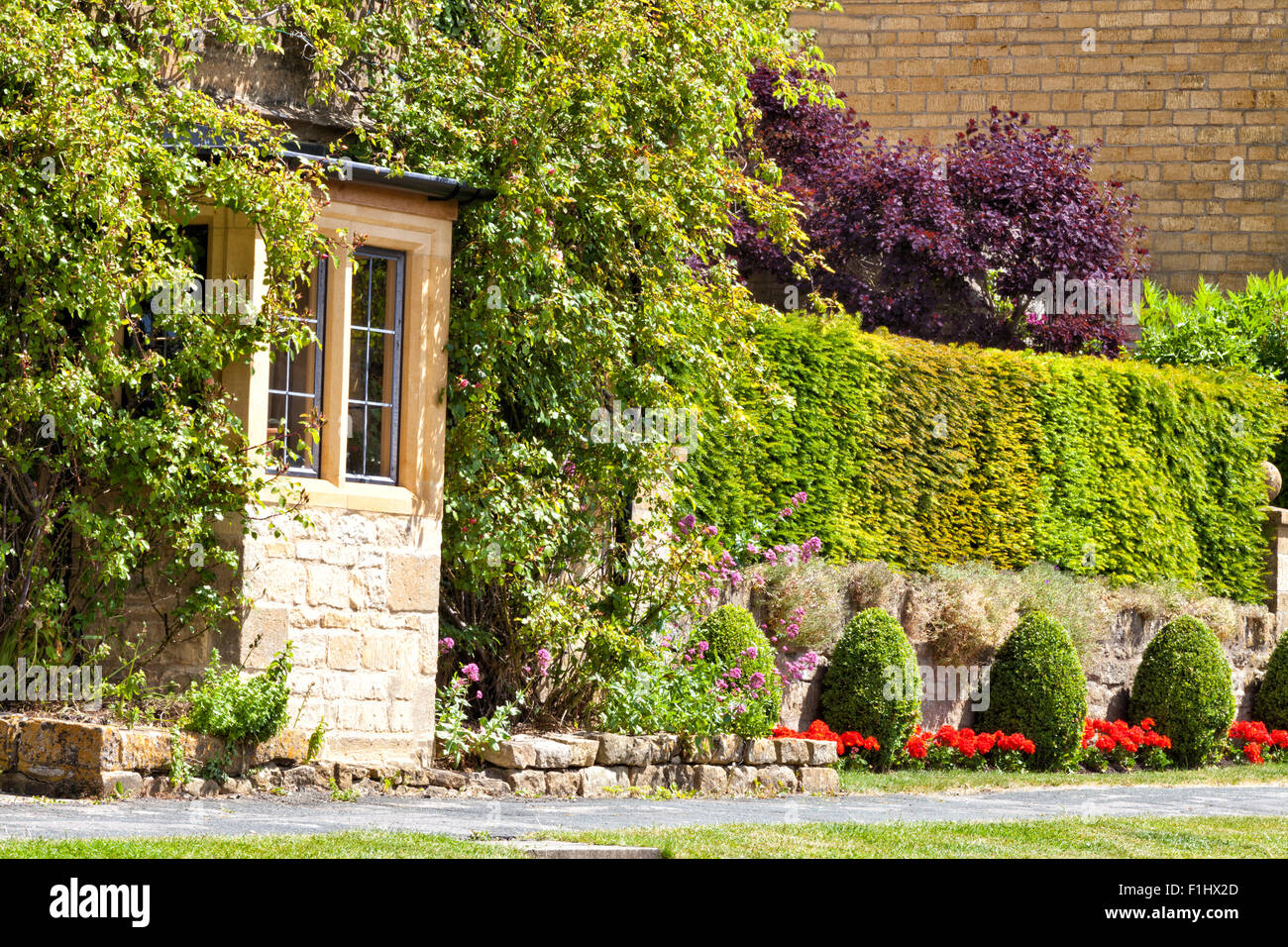Garden trimmed evergreen hedge on a stone wall and cottage flowers ...