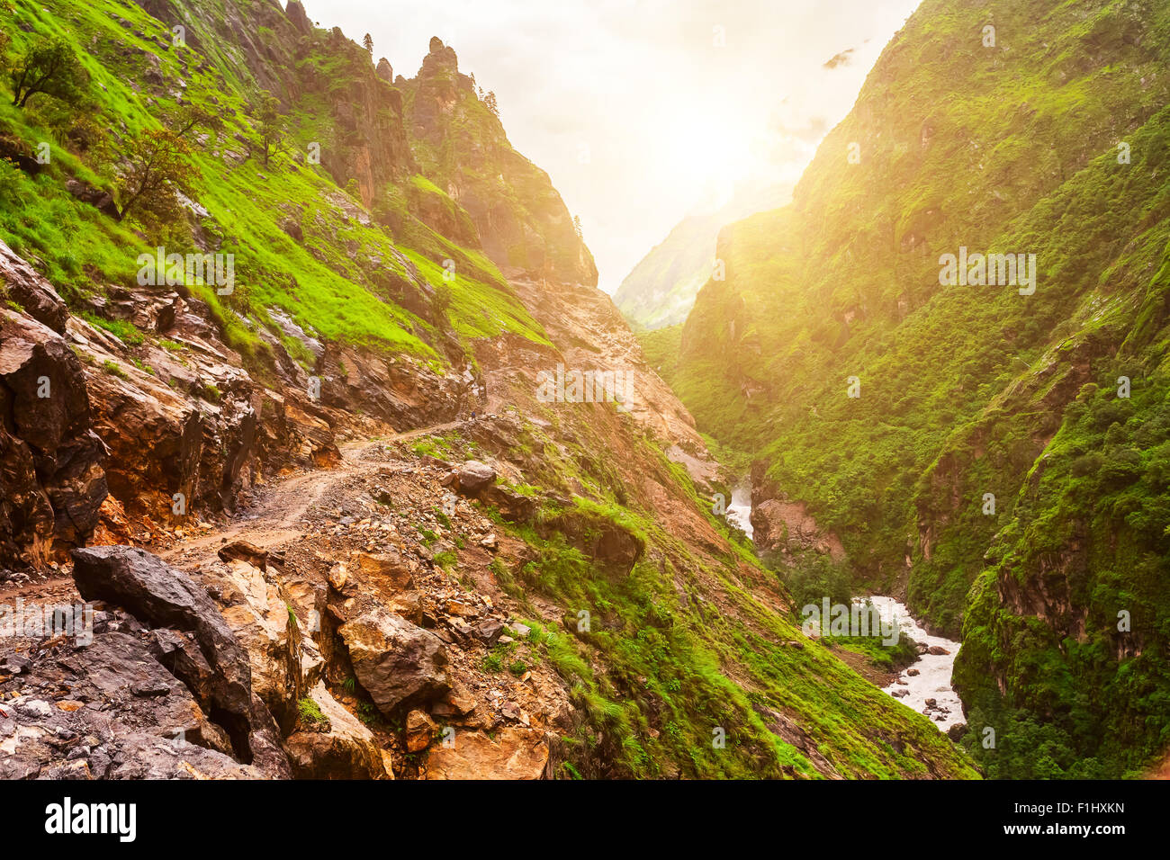 Landscape with mountain river Stock Photo - Alamy