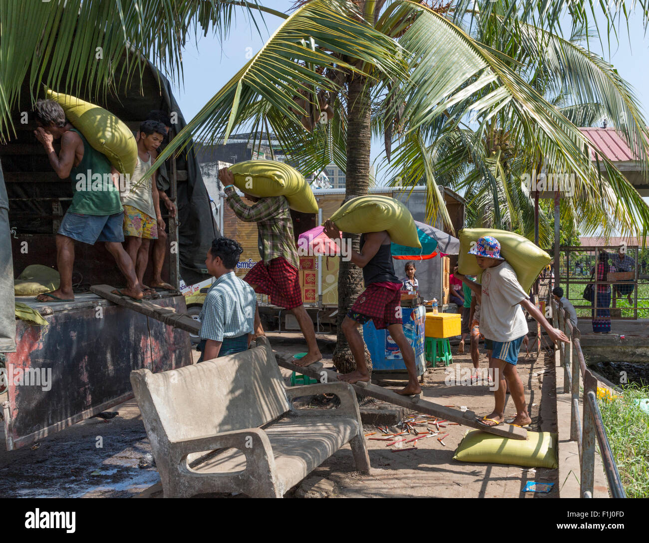 Porters walk up a ramp with sacks of rice in the tropical sun to load a ...