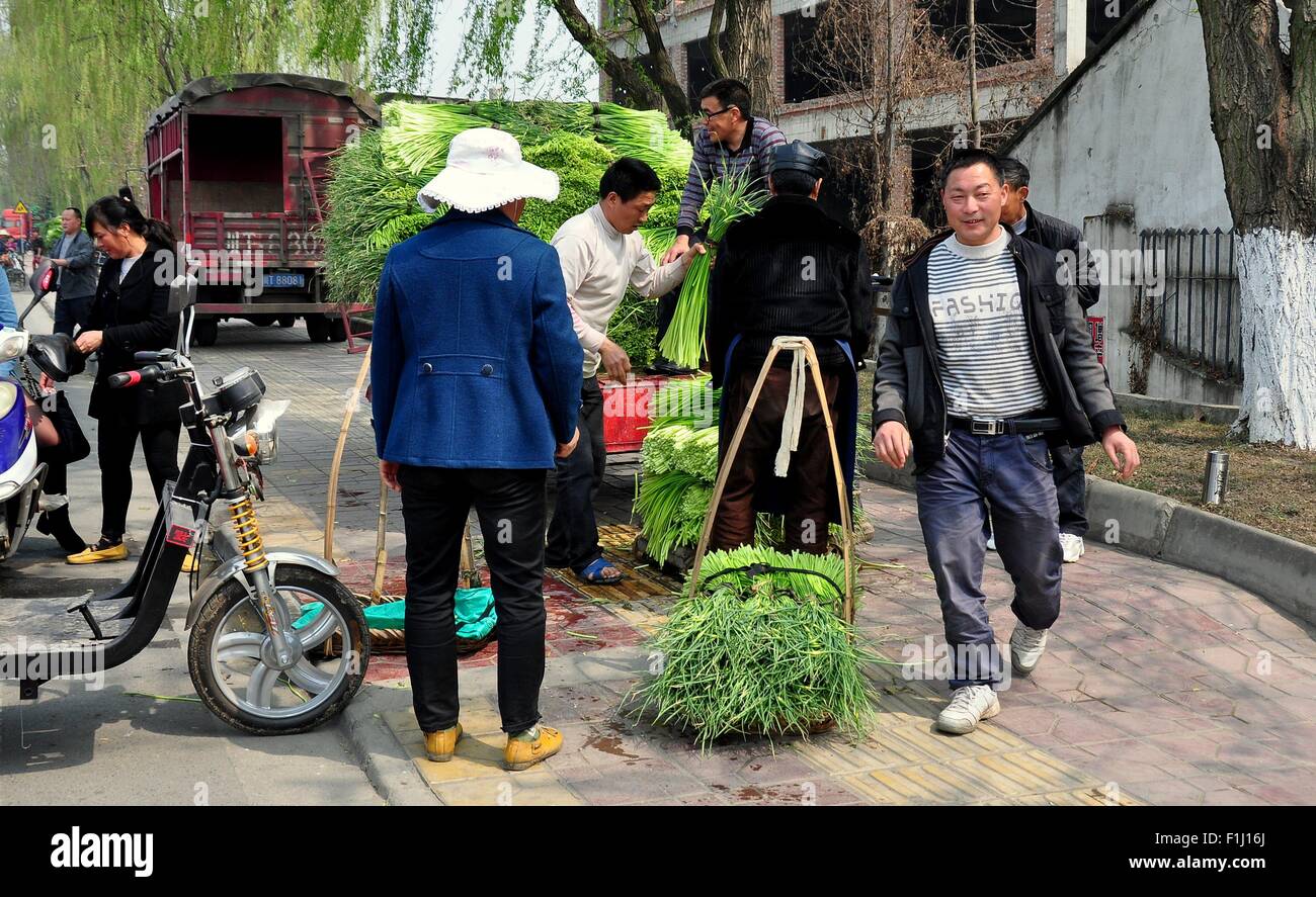 Pengzhou, China: Farmers bring freshly harvested green garlic at the ...