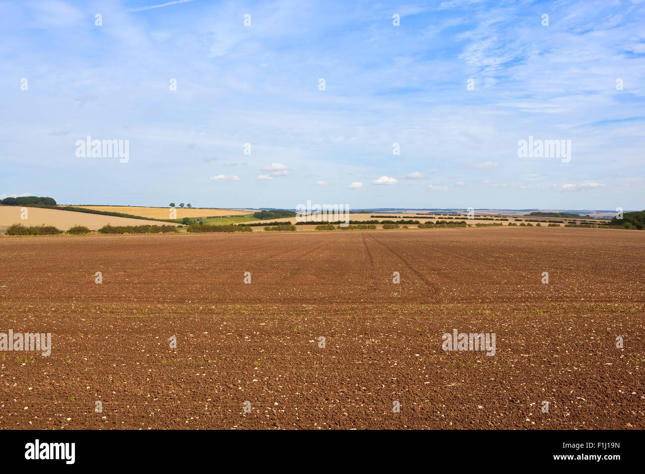 Patterns and texture of the chalky soil of a newly cultivated field in ...